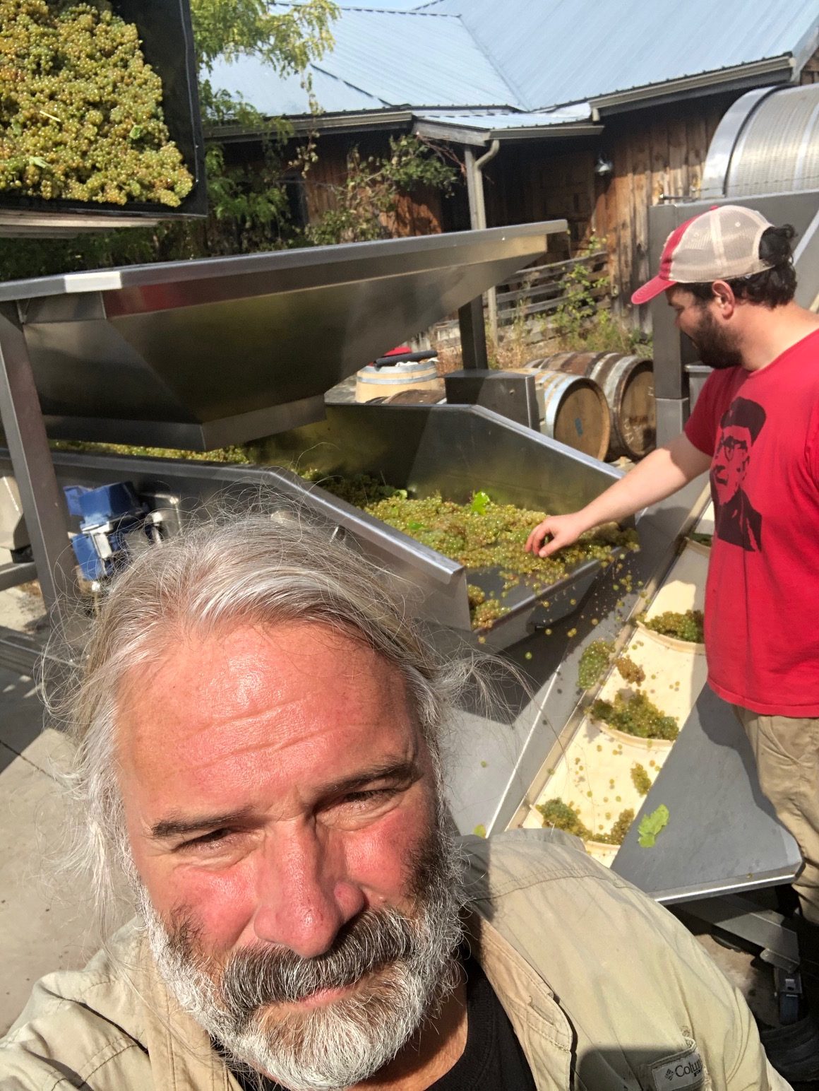 Latest – Shaw Vineyard